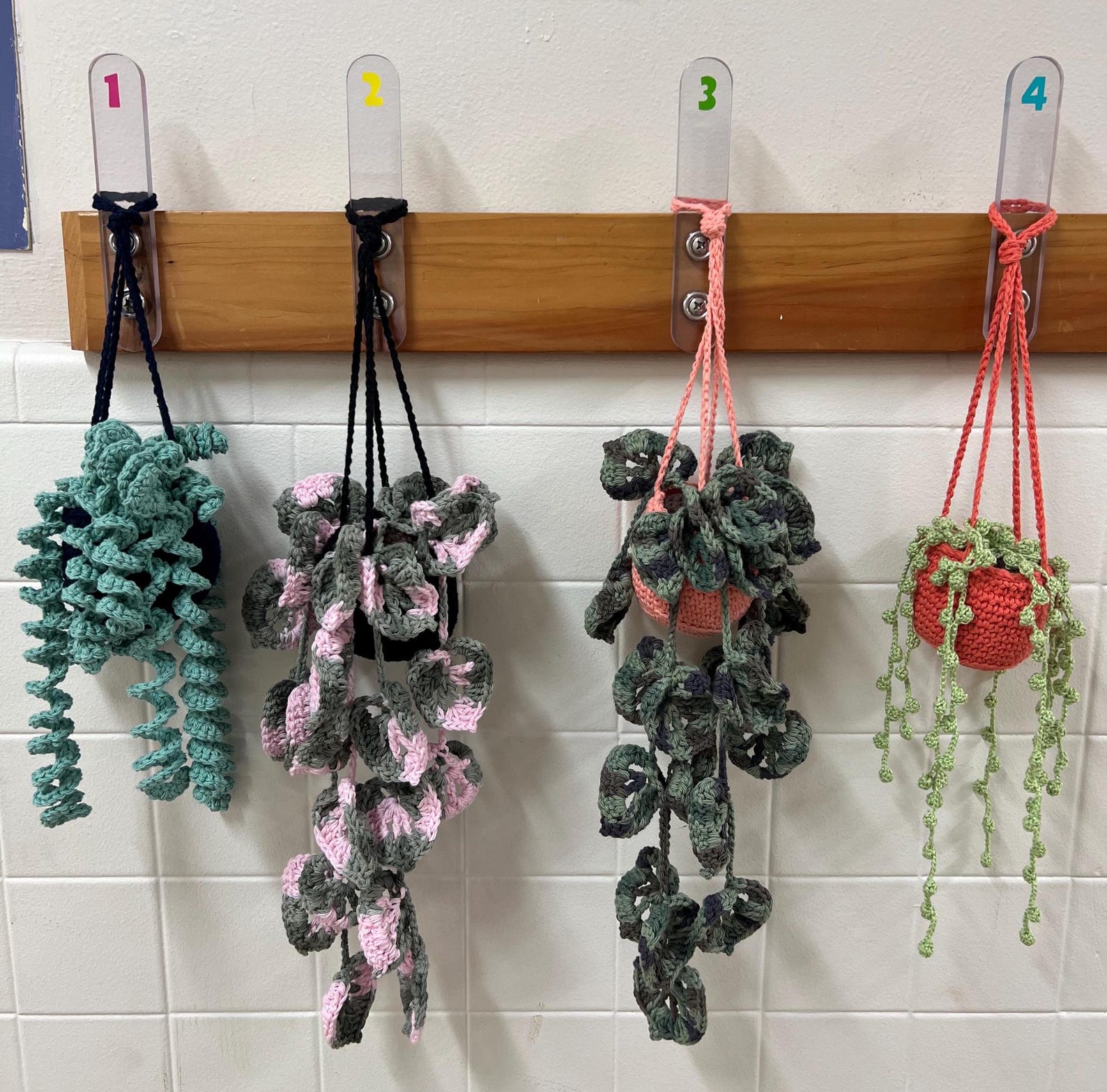 Hanging Crochet Plant- Fern, String of Pearls, Pothos, Burro’s Tale ...