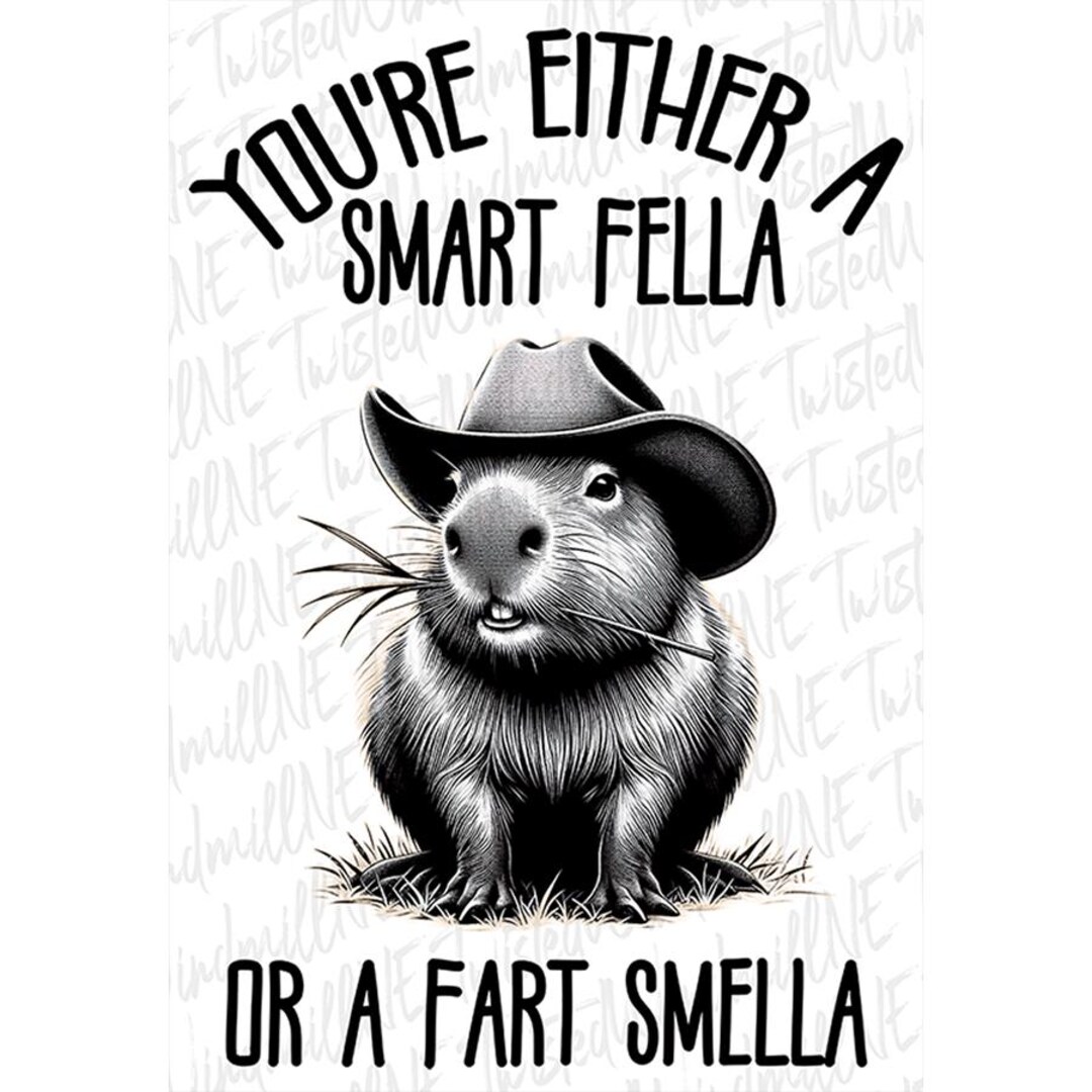 Funny Unisex Shirt PNG - Smart Fella Fart Smella Country Capybara ...
