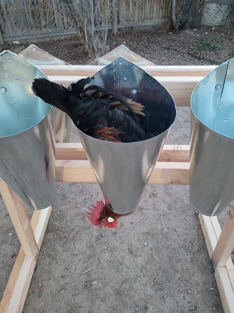NEW Poultry Restraining Kill Cones US Made Small Chickens Small Ducks ...
