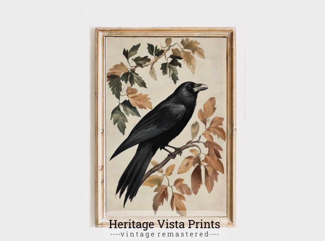 Raven Wall Art | Vintage Crow Illustration | Gothic Home Decor | Bird ...