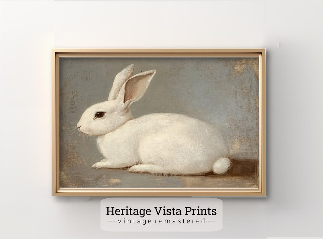 Bunny Rabbit Wall Art, Vintage Style Animal Print, Cute White Rabbit ...