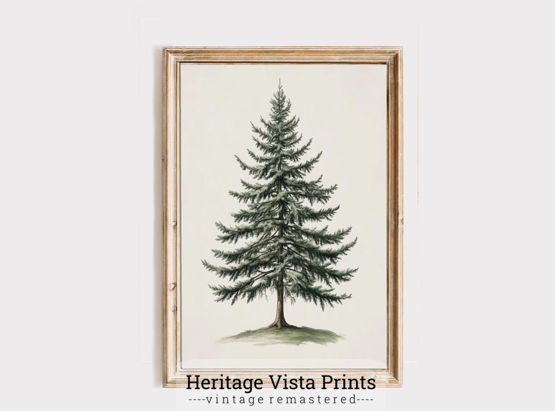 Pine Tree Illustration Art Print: Vintage Forest Theme (digital ...