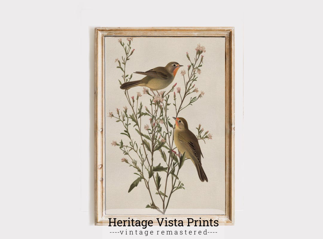 Vintage Bird Botanical Print: Antique Nature Illustration (digital ...