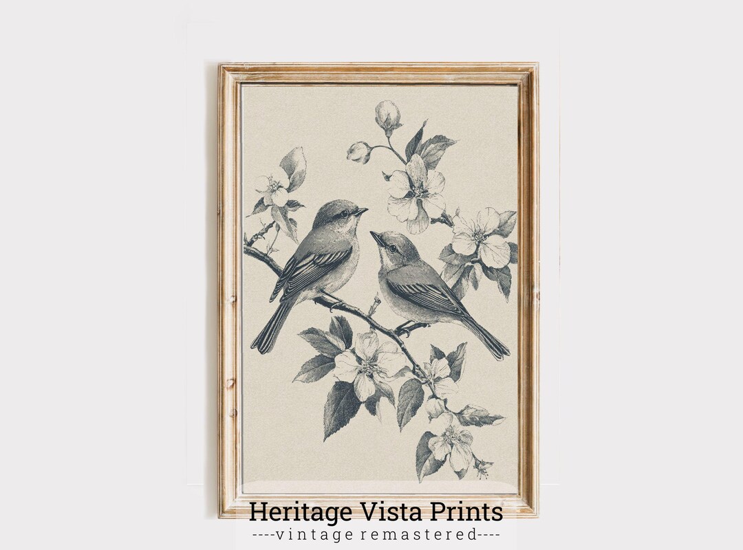 Vintage Bird Print: Botanical Illustration, Black and White Artwork ...