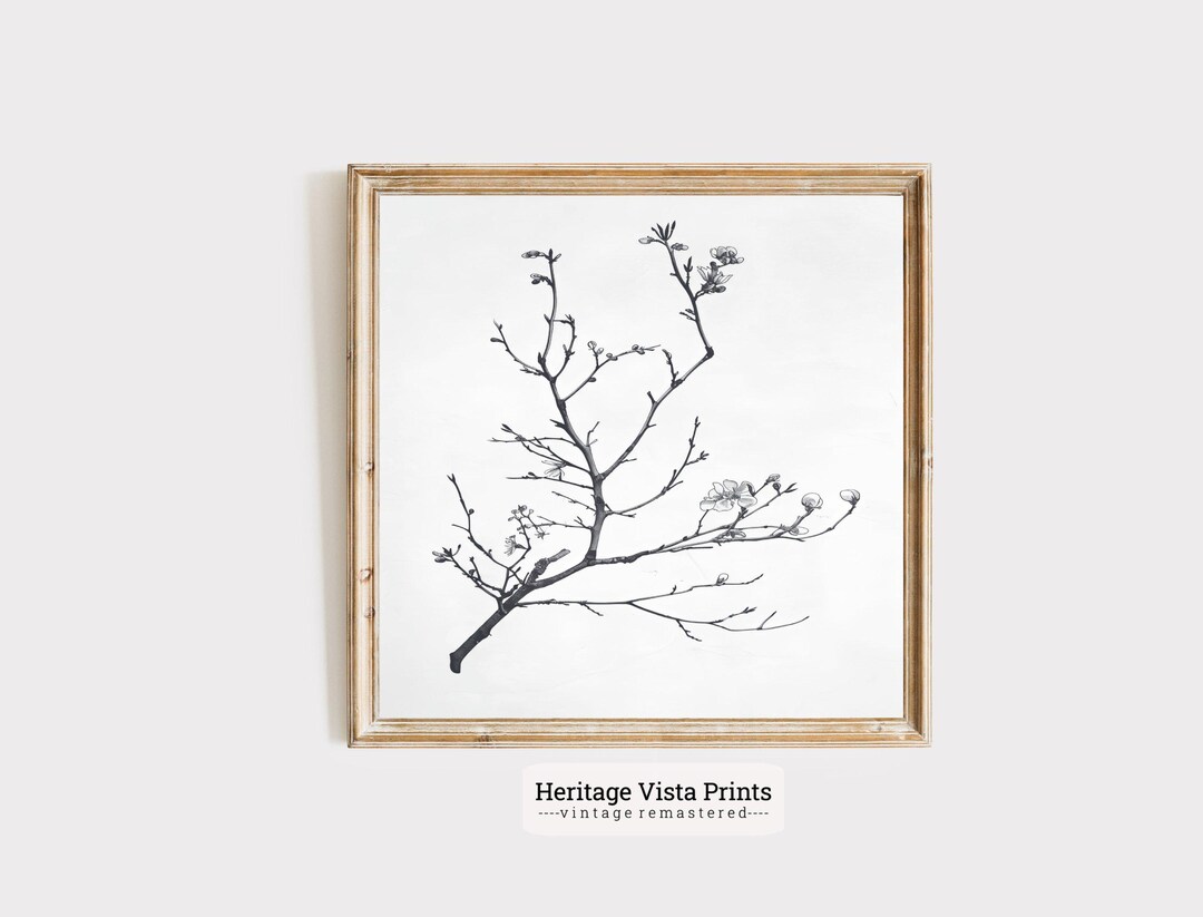 Botanical Branch Print: Black and White Floral Illustration (digital ...