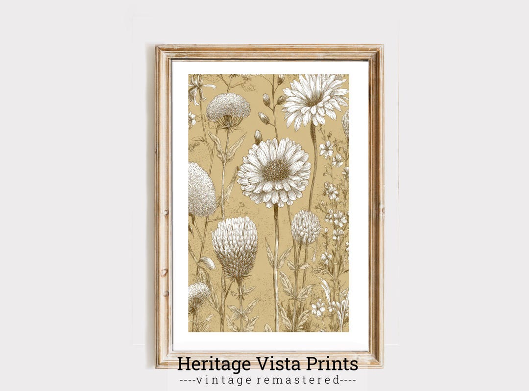Vintage Botanical Flower Print: Antique Wildflower Illustration ...