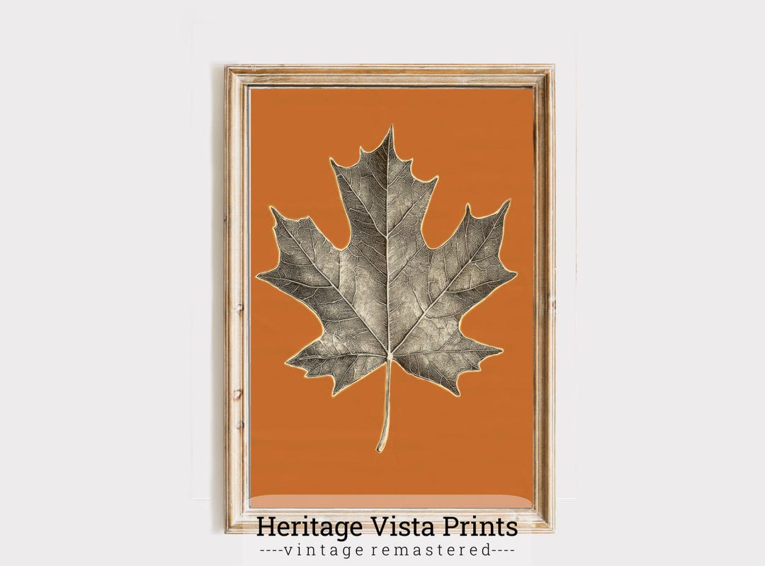 Autumn Maple Leaf Print: Vintage Botanical Art (digital Download) - Etsy