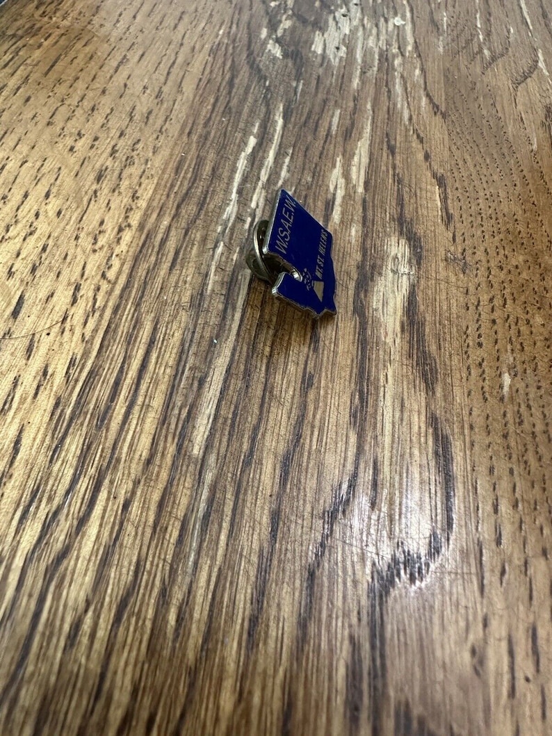 Vintage Local Union Made Lapel Pin Union W.S.A.E.W. MT. ST Helens Htf ...