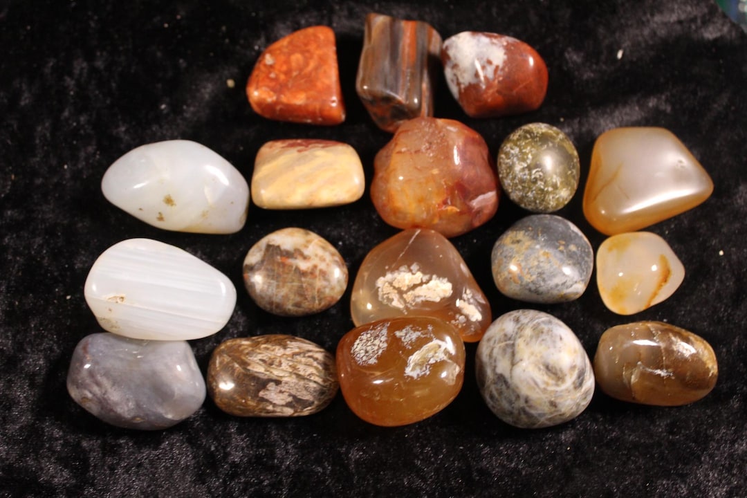 A Collection of Semi-precious Stones Blued Laced Agates, Petrified Wood ...