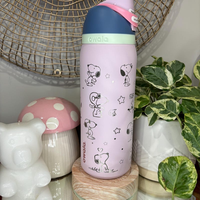 Owala Water Bottle Snoopy - Etsy