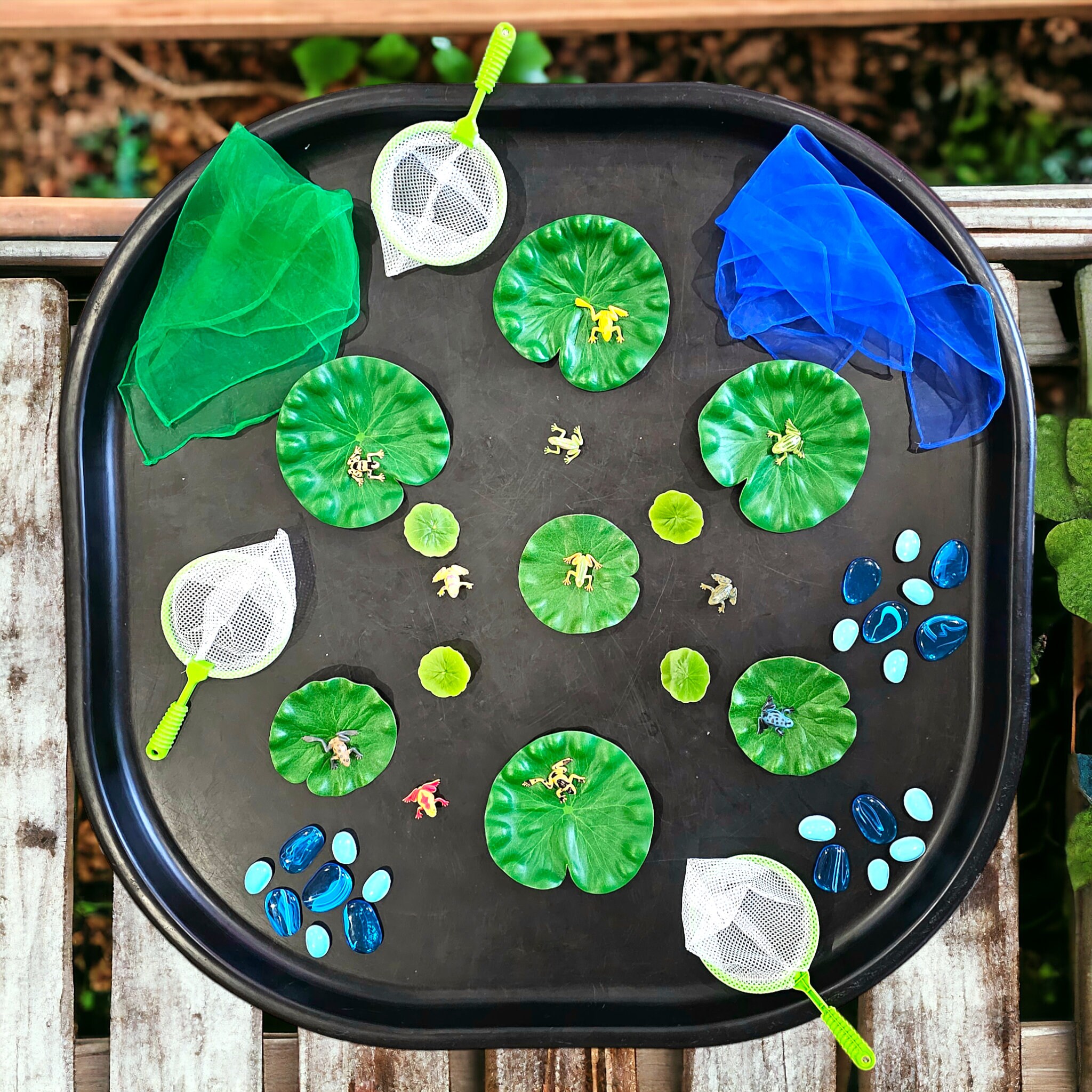 Tuff Tray Frog Pond - Etsy Australia