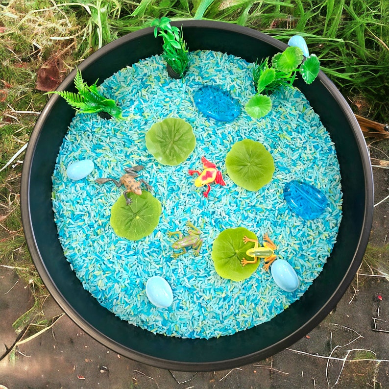 Tuff Tray Sensory Kit Frog Pond - Etsy Australia