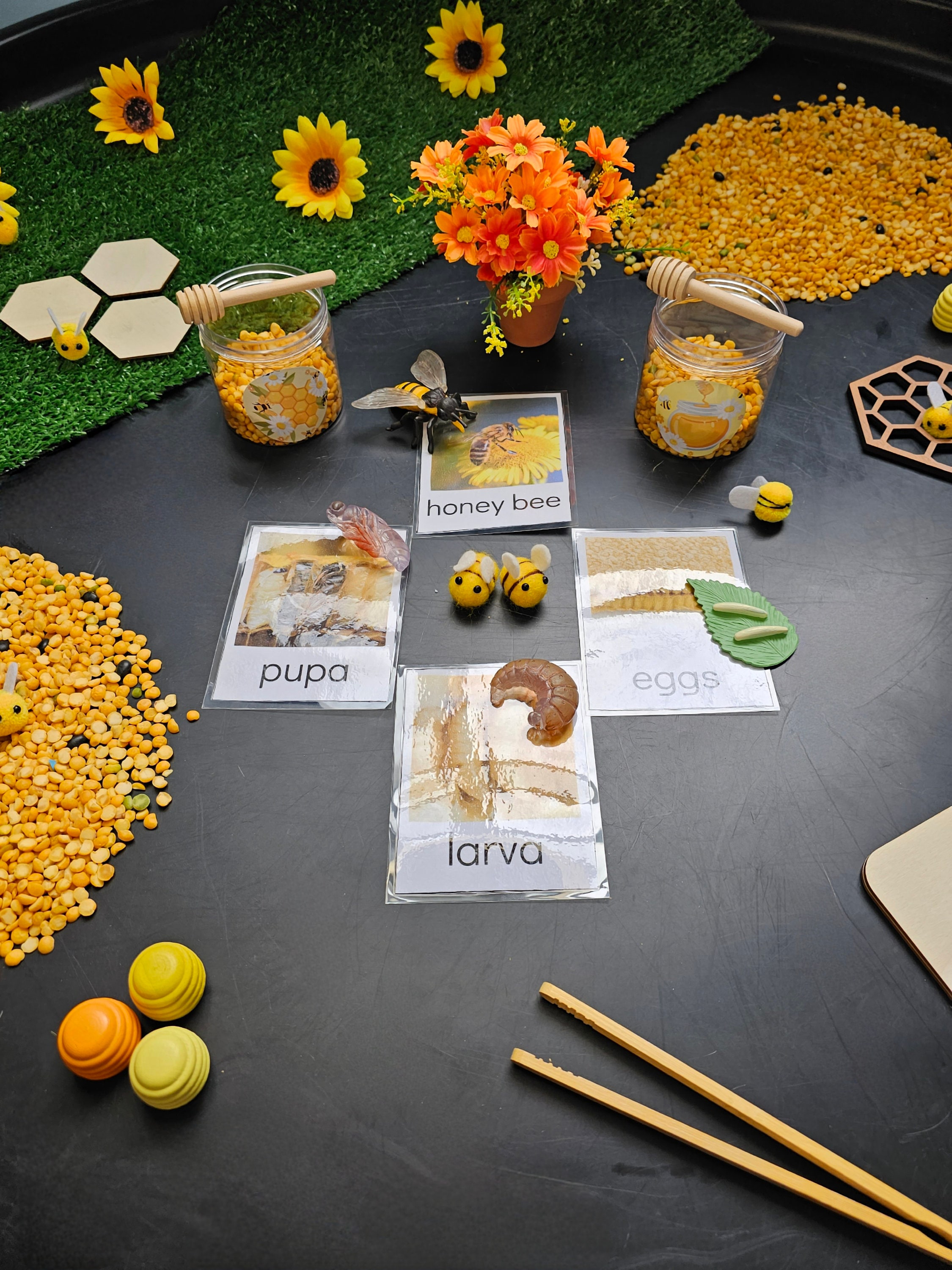 Tuff Tray Sensory Kit Bee's - Etsy Australia