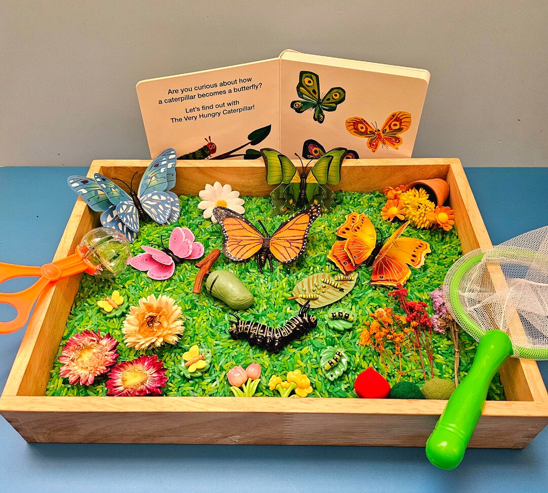 Hungry Caterpillar Butterfly Life-cycle - Etsy Australia