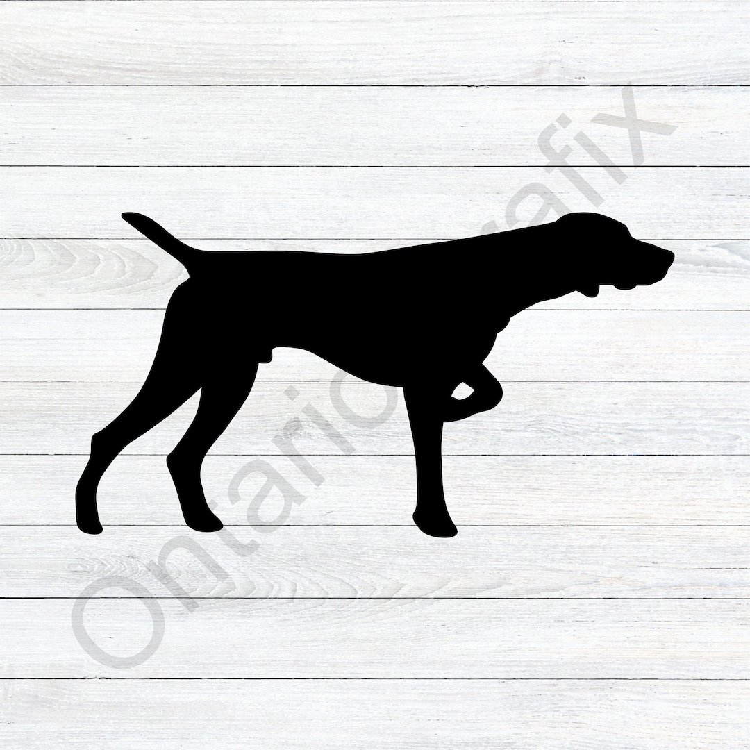 Pointer Dog Svg, Pointer Dog Silhouette Svg, Vizsla, German Shorthaired ...