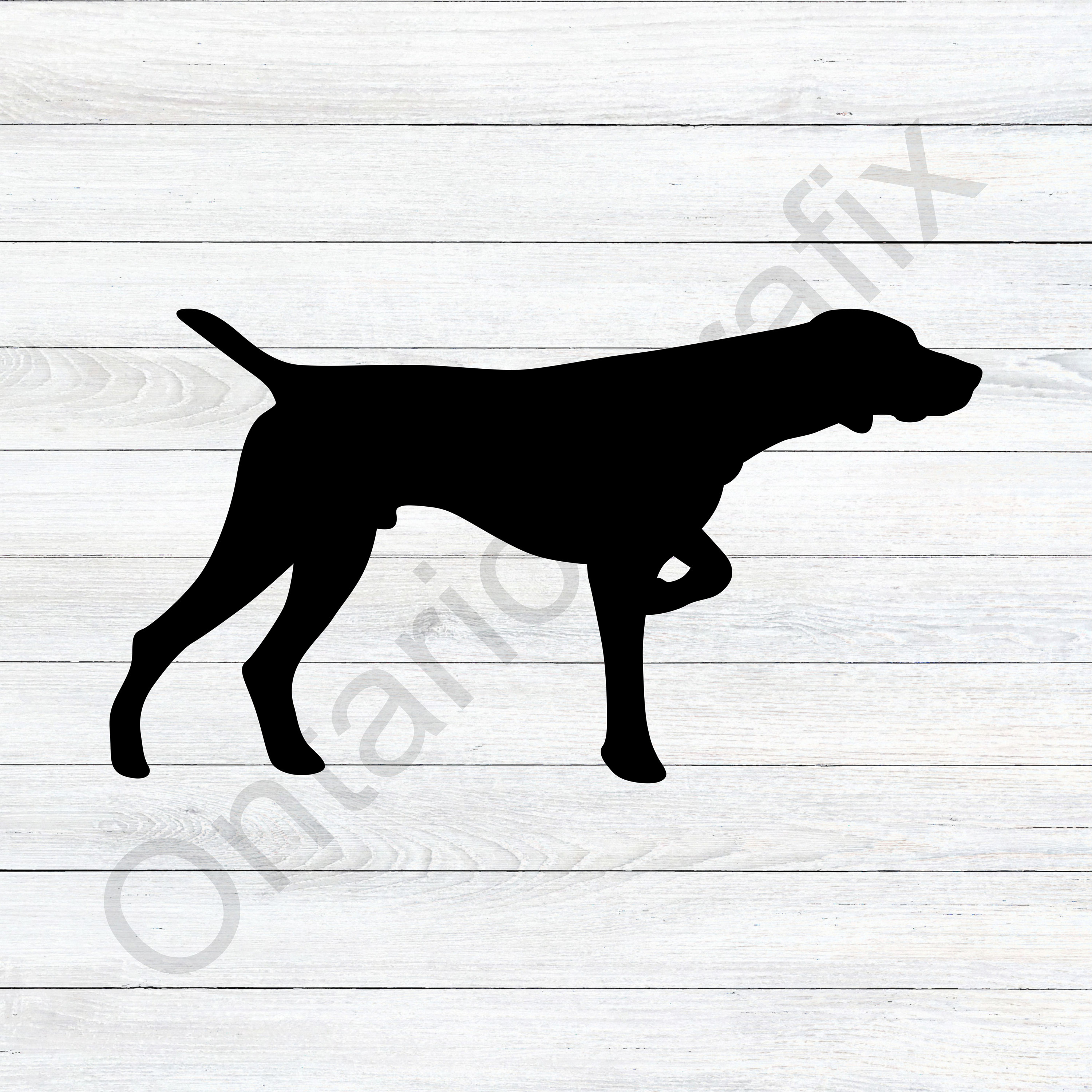 Pointer Dog Svg, Pointer Dog Silhouette Svg, Vizsla, German Shorthaired ...