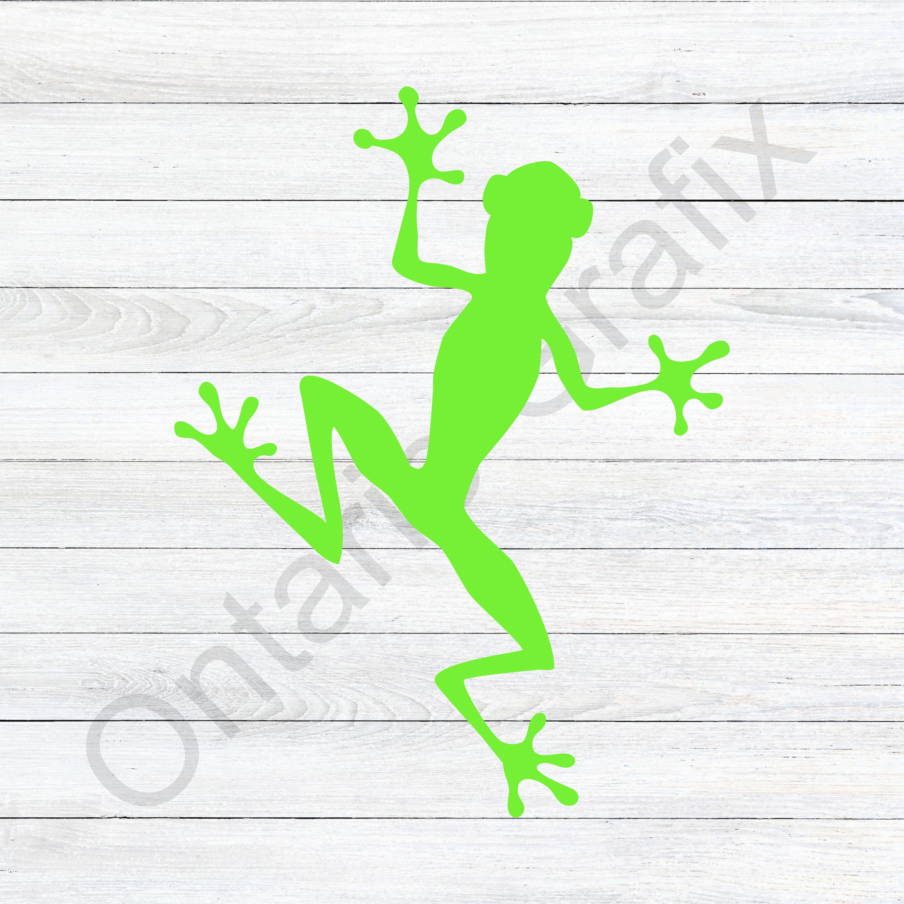 Tree Frog, Climbing Frog Svg, Frog Svg, Rainforest Frog Svg, Reptile ...