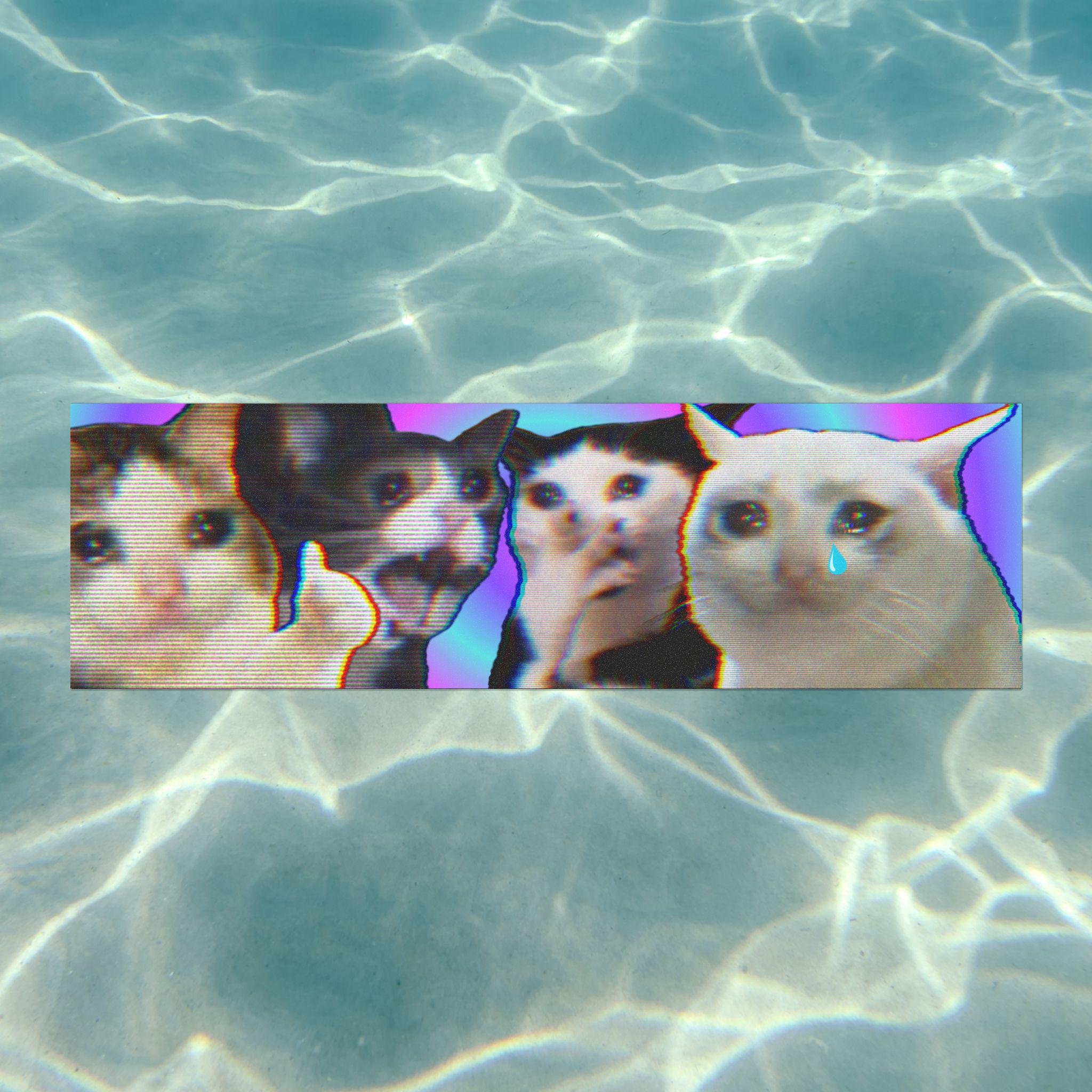 Crying Cat Meme Funny Bumper Sticker, Car Magnet, Crying Cat, Bumper ...