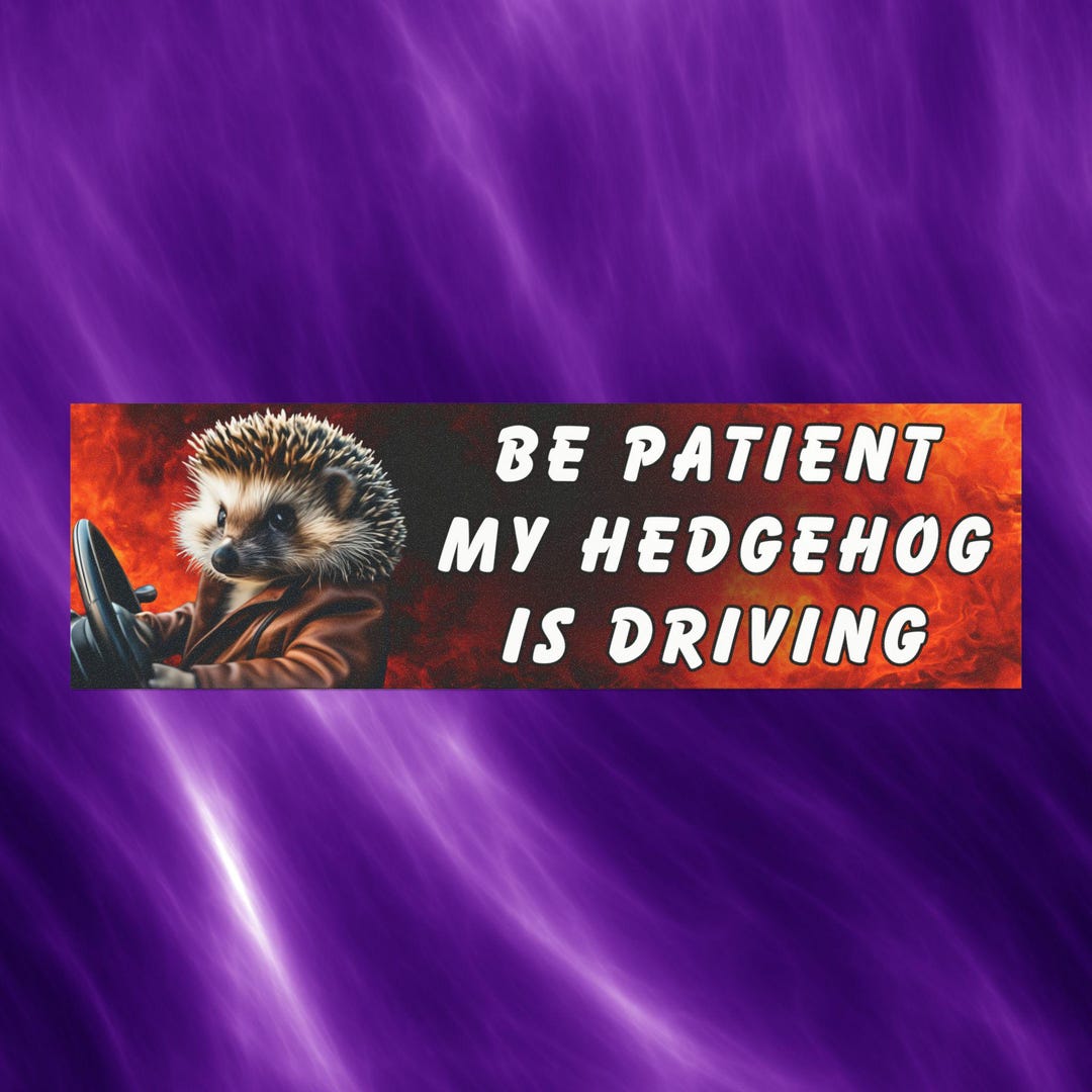 Hedgehog Lover Car Magnet, Funny Driving Car Decal, Cute Animal Pet ...