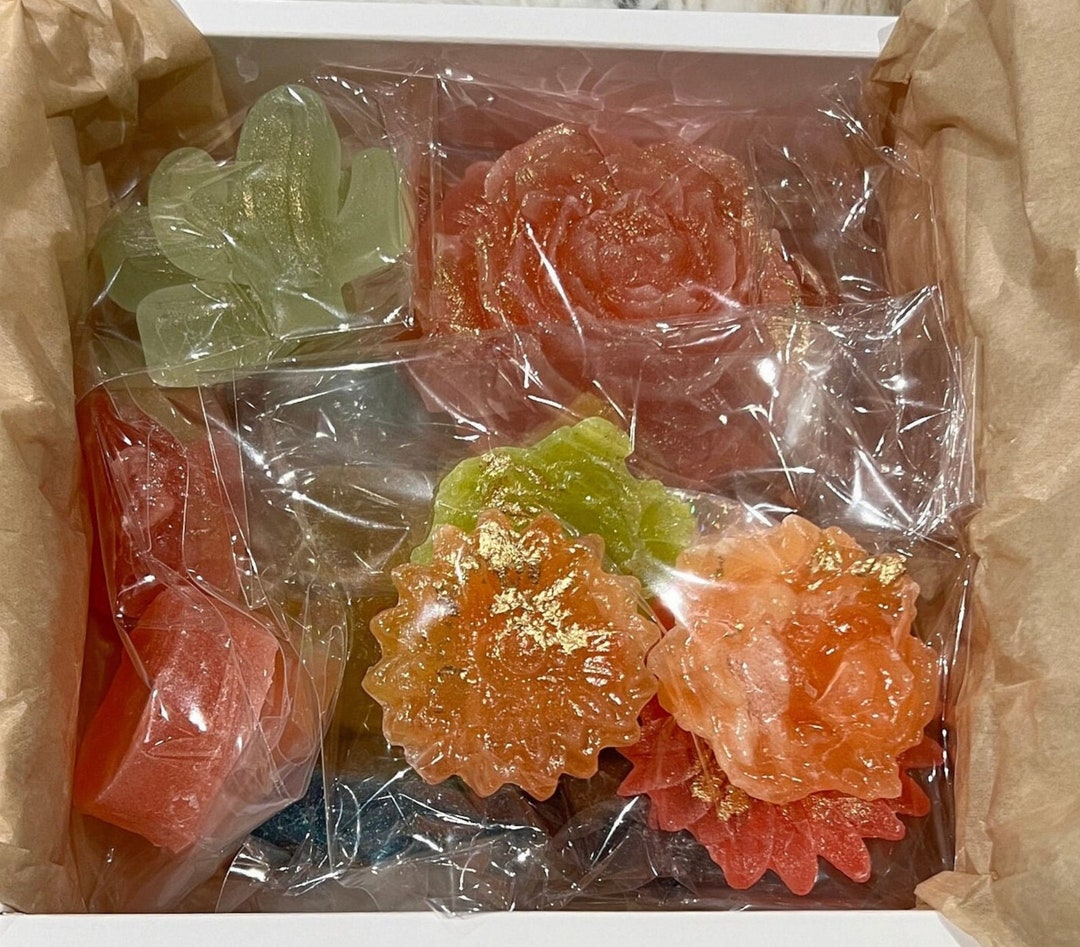 1 Lb of Kohakutou Omakase Vegan With FREE SHIPPING, chef's Choice Gift ...