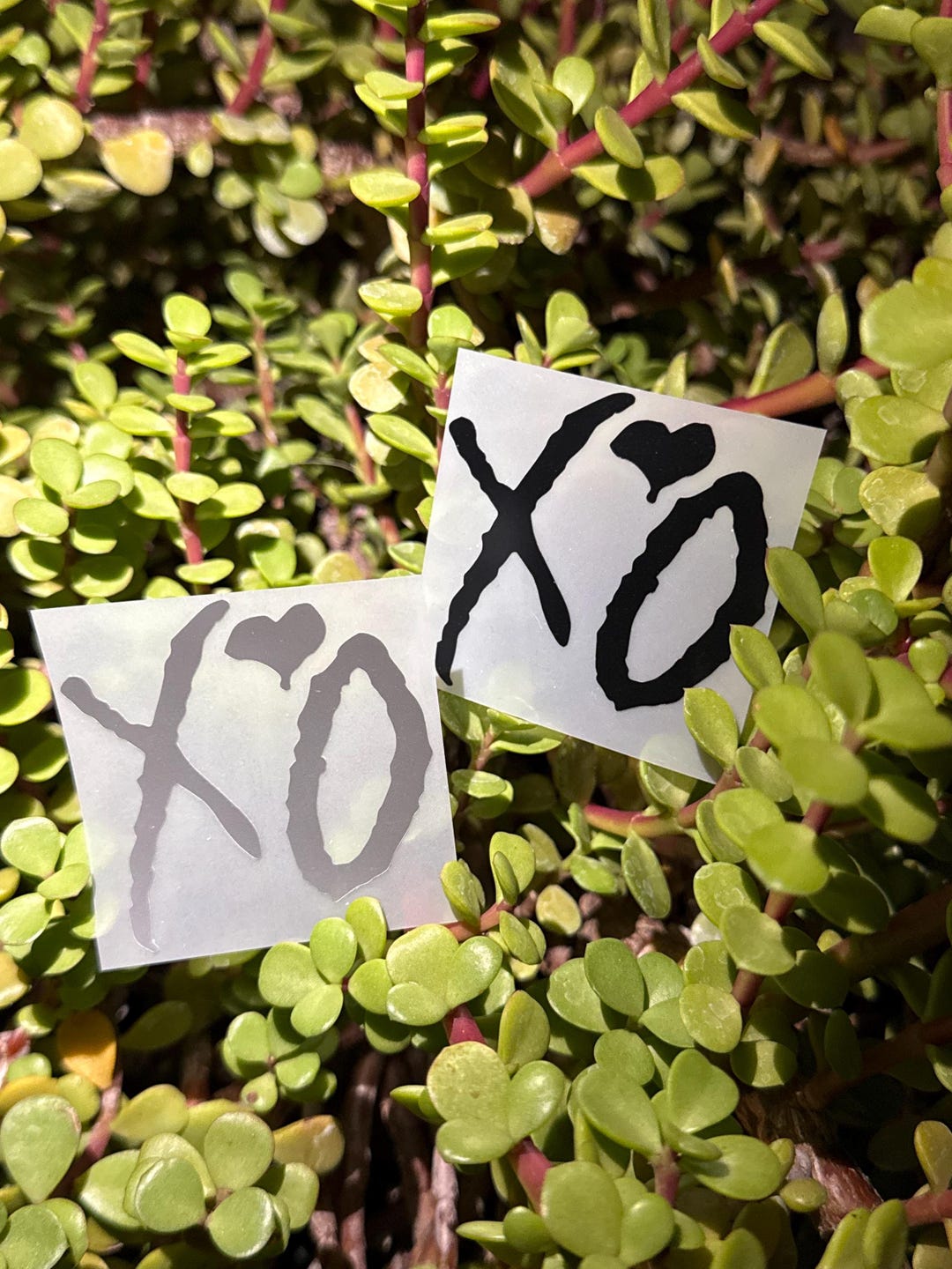 The Weeknd XO Vinyl Decal, Waterproof & UV Resistant - Etsy