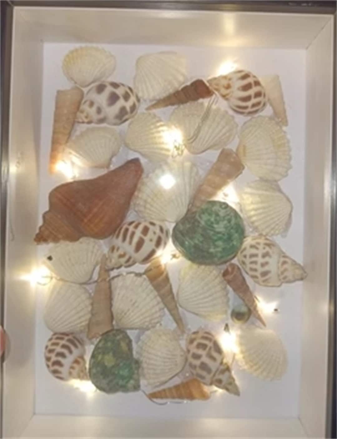 Handmade Shell and Conch Photo Frame - Etsy