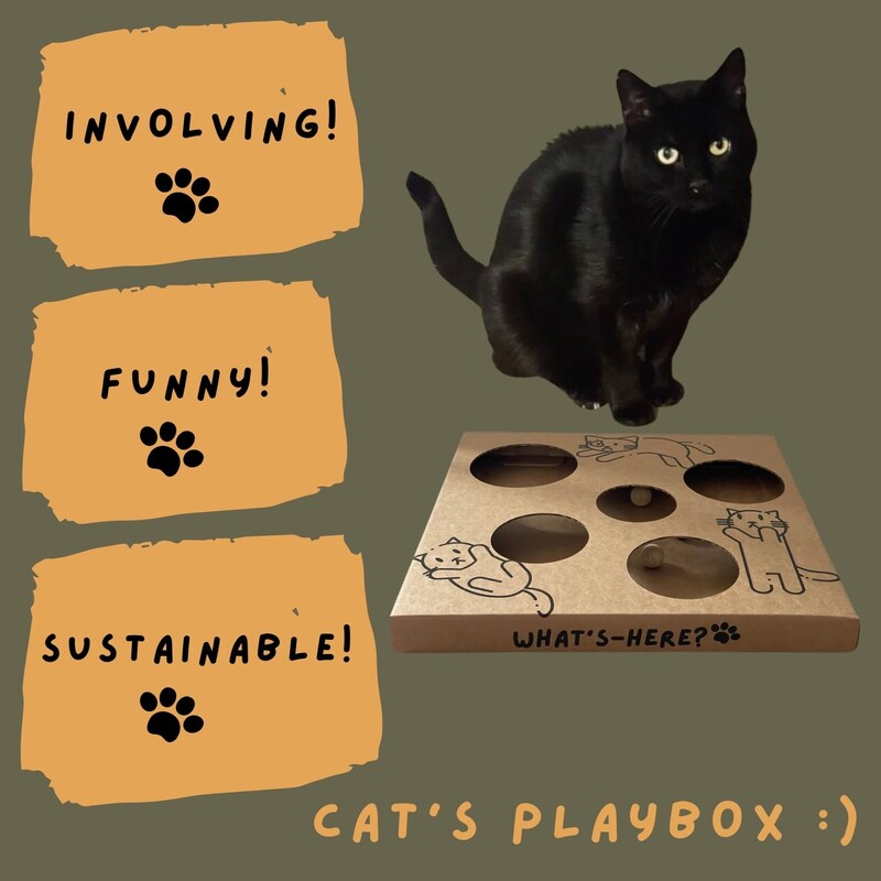 Wooden Cat Toys - Etsy