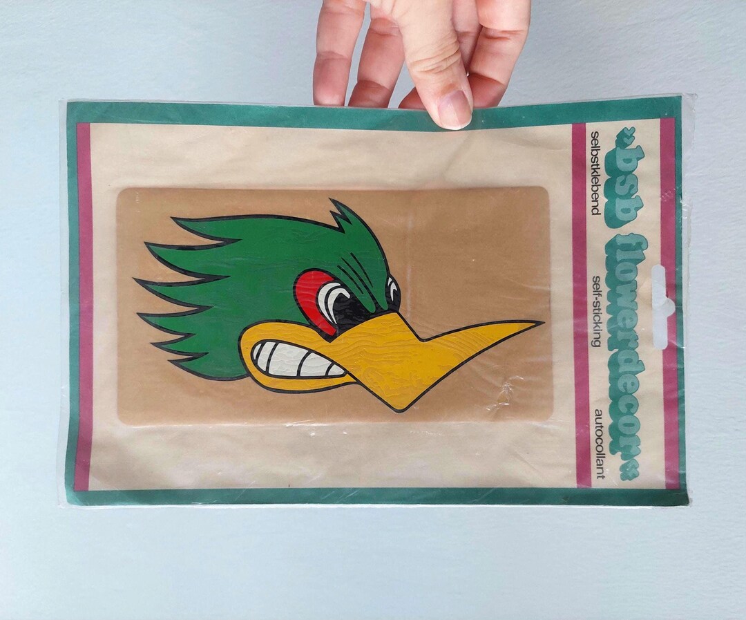 Vintage Green ROAD RUNNER Car Decals | Vinyl Sticker | Laminated - Etsy