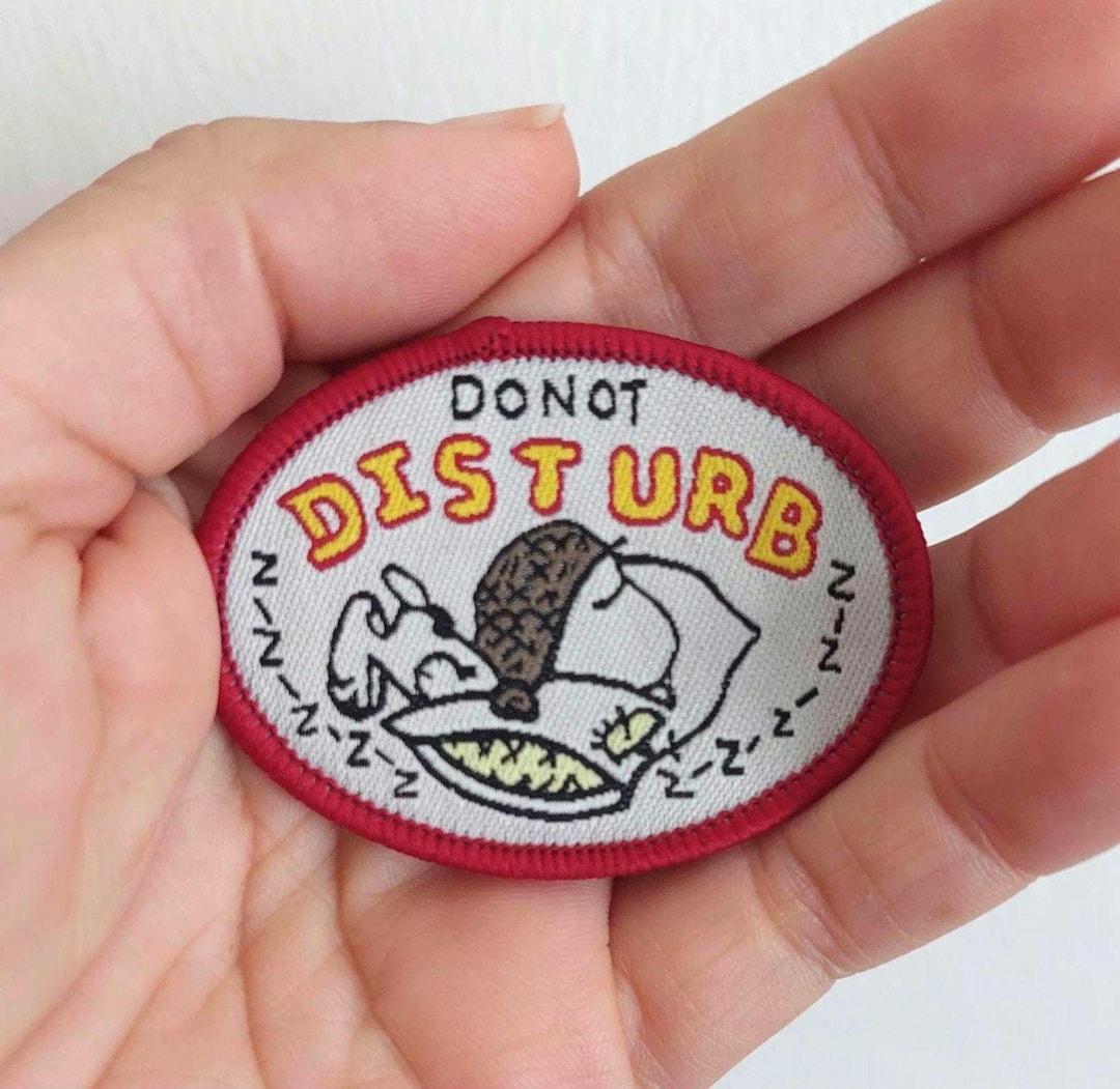 1 X Vintage Snoopy 'do Not Disturb' Iron on Fabric Patches | Clothes ...