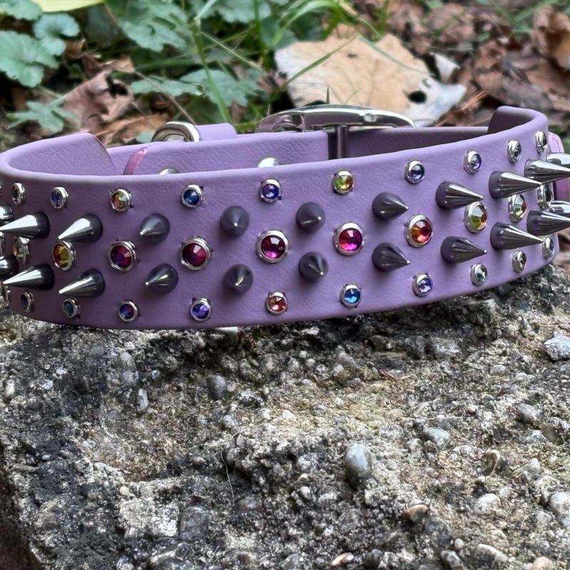 Spiked Dog Collar - Etsy