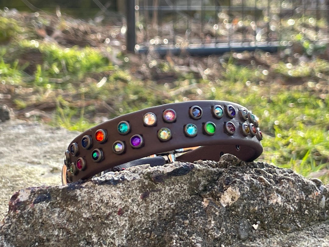 Bling Biothane Dog Collar, Dark Brown Waterproof Collar (8-11") - Etsy