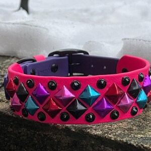 17” Bling Biothane Collar in Pink and Purple, Luxury Waterproof Collar ...