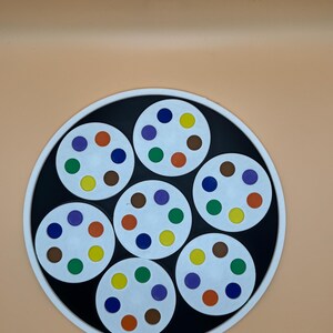 Circle Color Match Puzzle - Perfect Gift for Students, Teachers ...