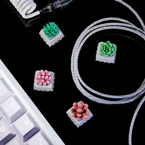Succulent Plant Artisan Keycaps Set - Cherry MX Compatible - Unique ...