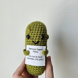 Customizable Emotional Support and Goofy Pickle Crochet, Perfect for ...