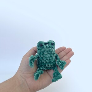 Custom Crochet Leggy Froggy Amigurumi - Handmade Frog Plush Toy, Cute ...