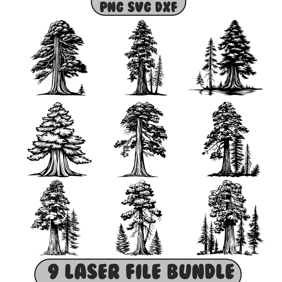 Sequoia Tree PNG Bundle SVG DXF Laser Burn Wood Engrave Lightburn Laser ...