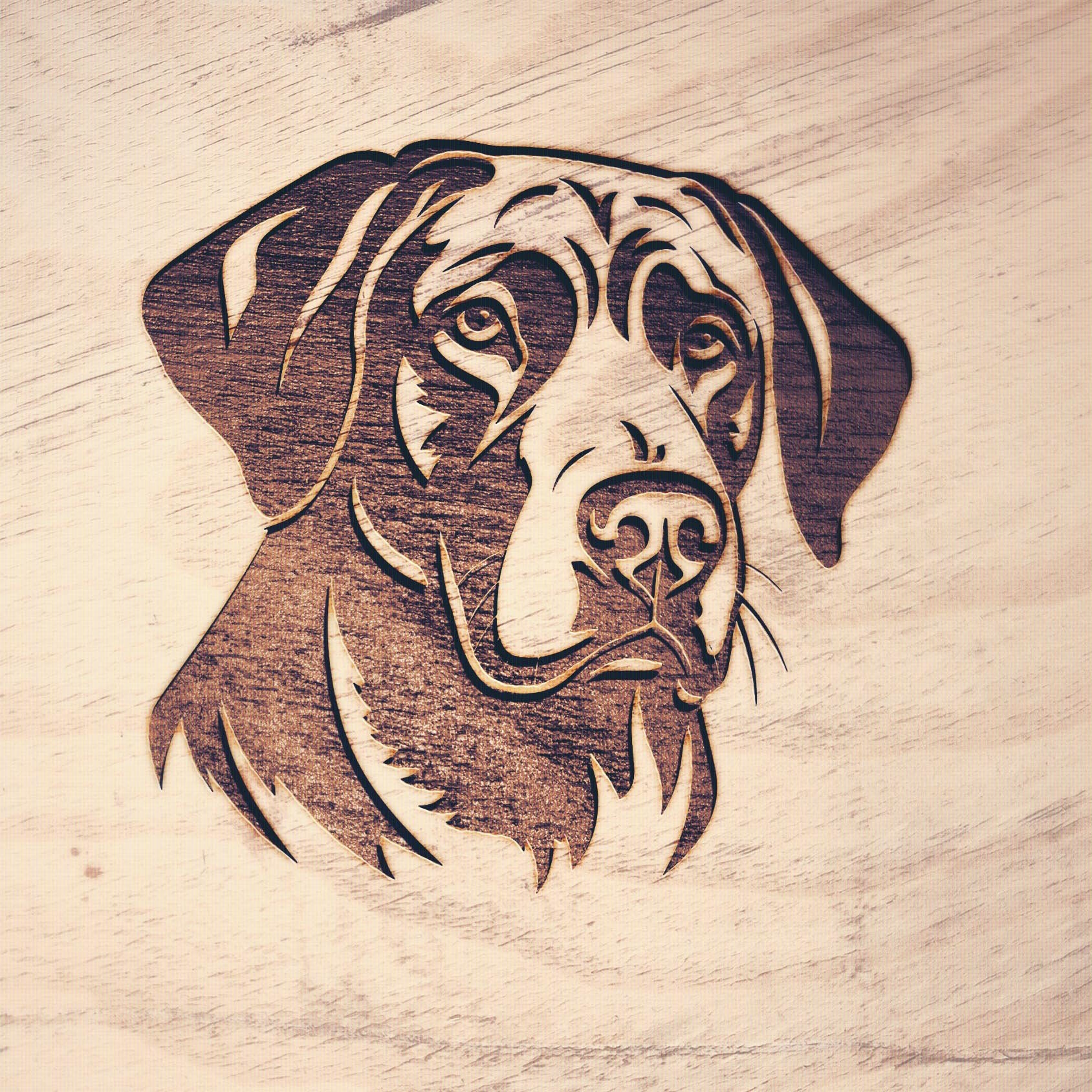 Labrador PNG Bundle SVG DXF Laser Burn Wood Engrave Lightburn Laser ...