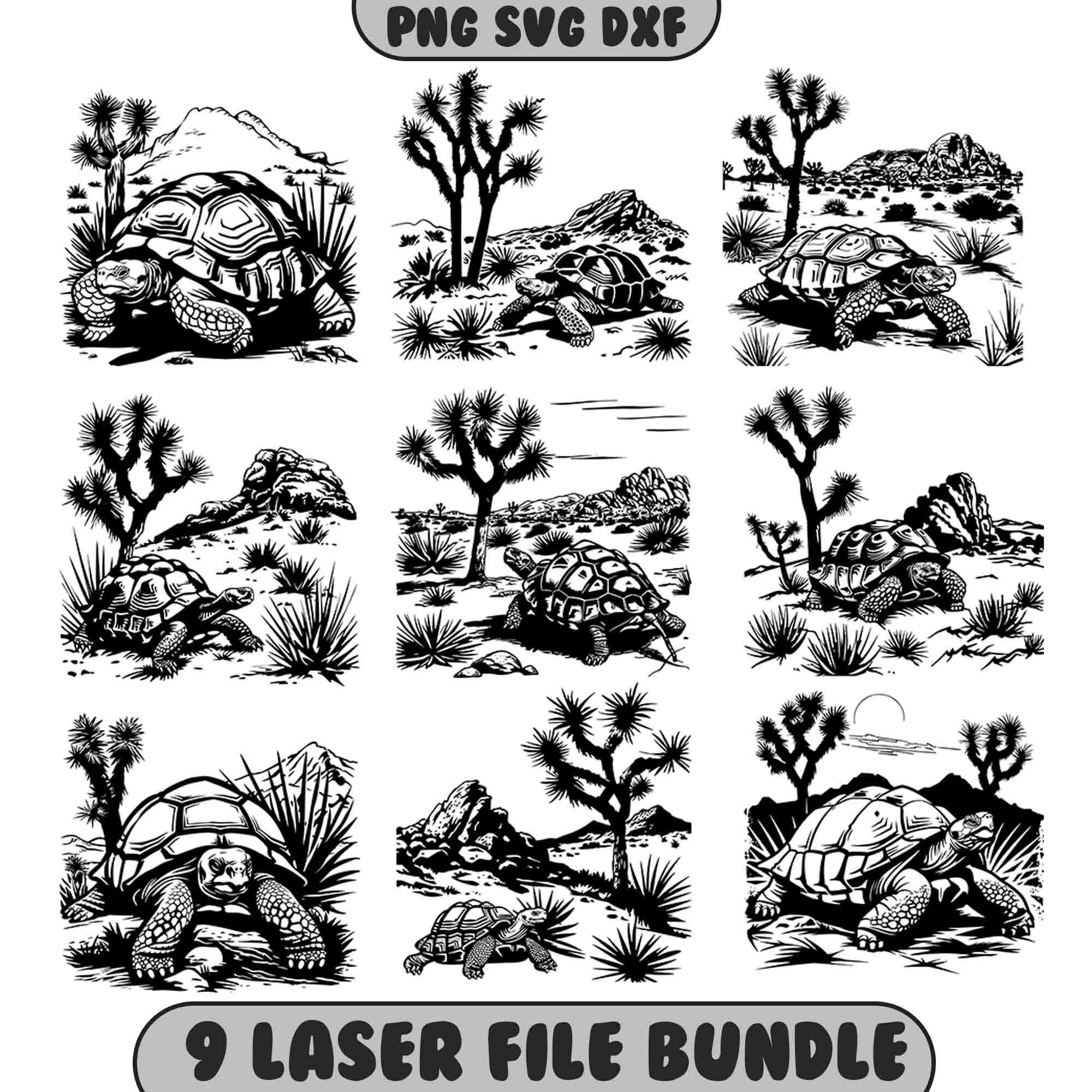 Joshua Tortoise PNG Bundle SVG DXF Laser Burn Wood Engrave Lightburn ...
