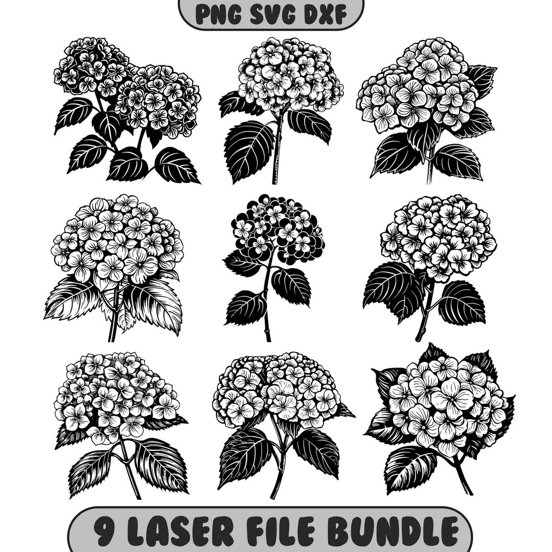 Hydrangea PNG Bundle | SVG | DXF | Laser Burn | Wood Engrave ...