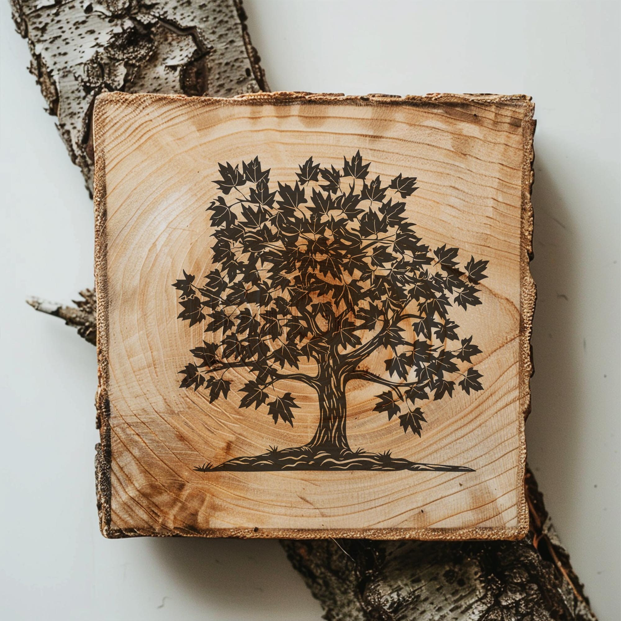 Big Leaf Maple Tree PNG Bundle SVG DXF Laser Burn Wood Engrave ...