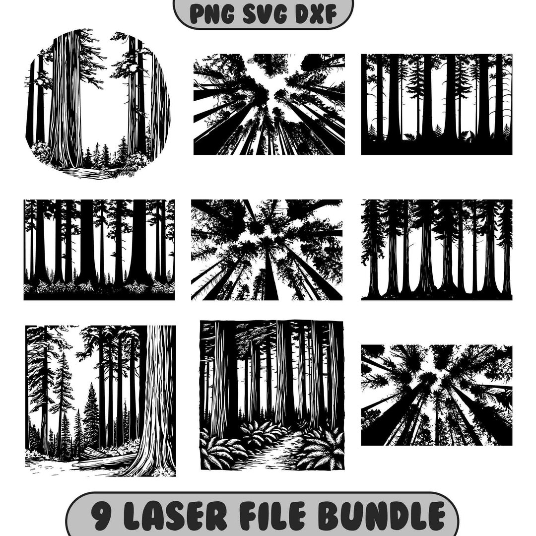 Redwood National Park PNG Bundle | SVG | DXF | Laser Burn | Wood ...