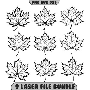 Maple Leaf PNG Bundle | SVG | DXF | Laser Burn | Wood Engrave ...