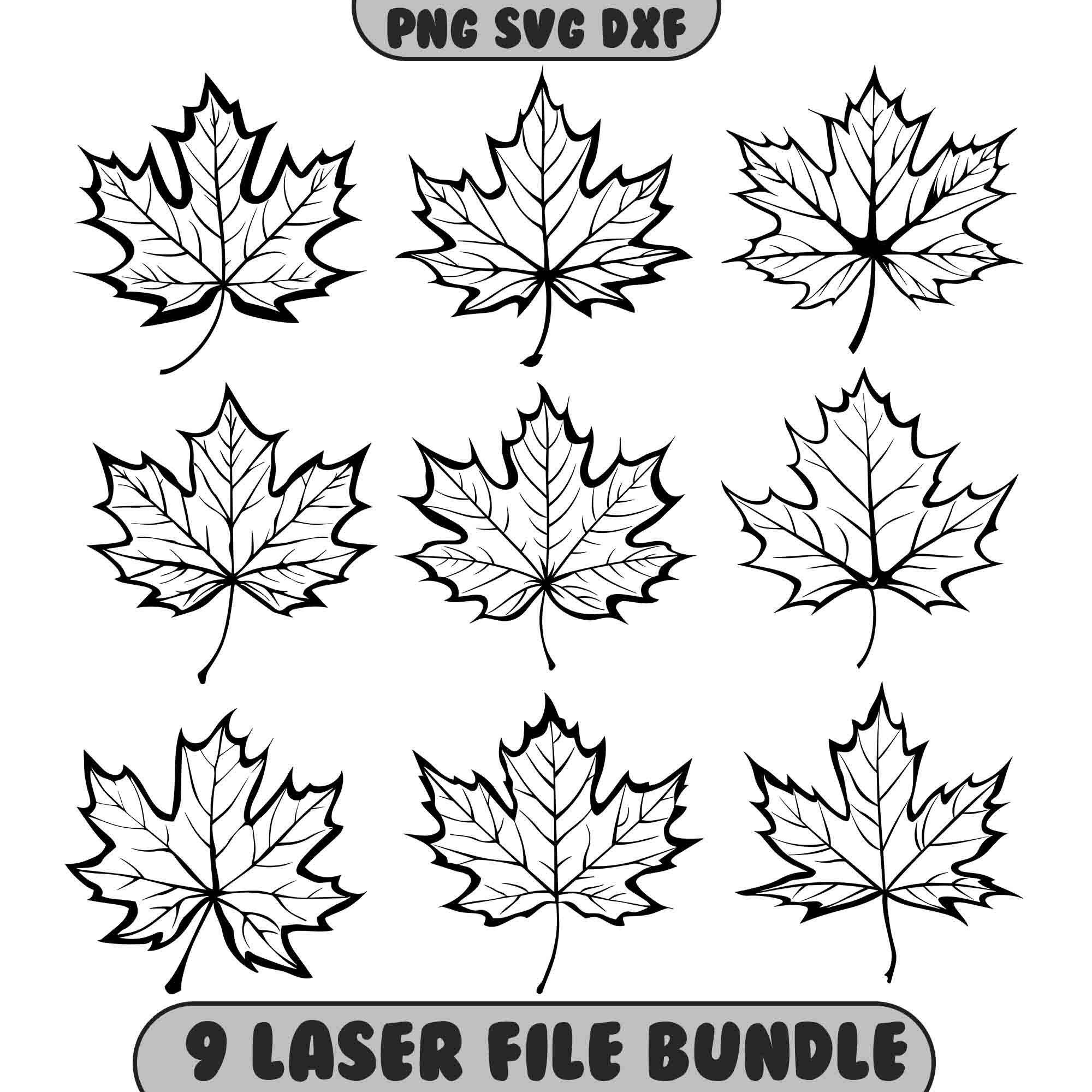 Maple Leaf PNG Bundle SVG DXF Laser Burn Wood Engrave Lightburn Laser ...