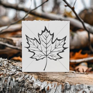 Maple Leaf PNG Bundle | SVG | DXF | Laser Burn | Wood Engrave ...