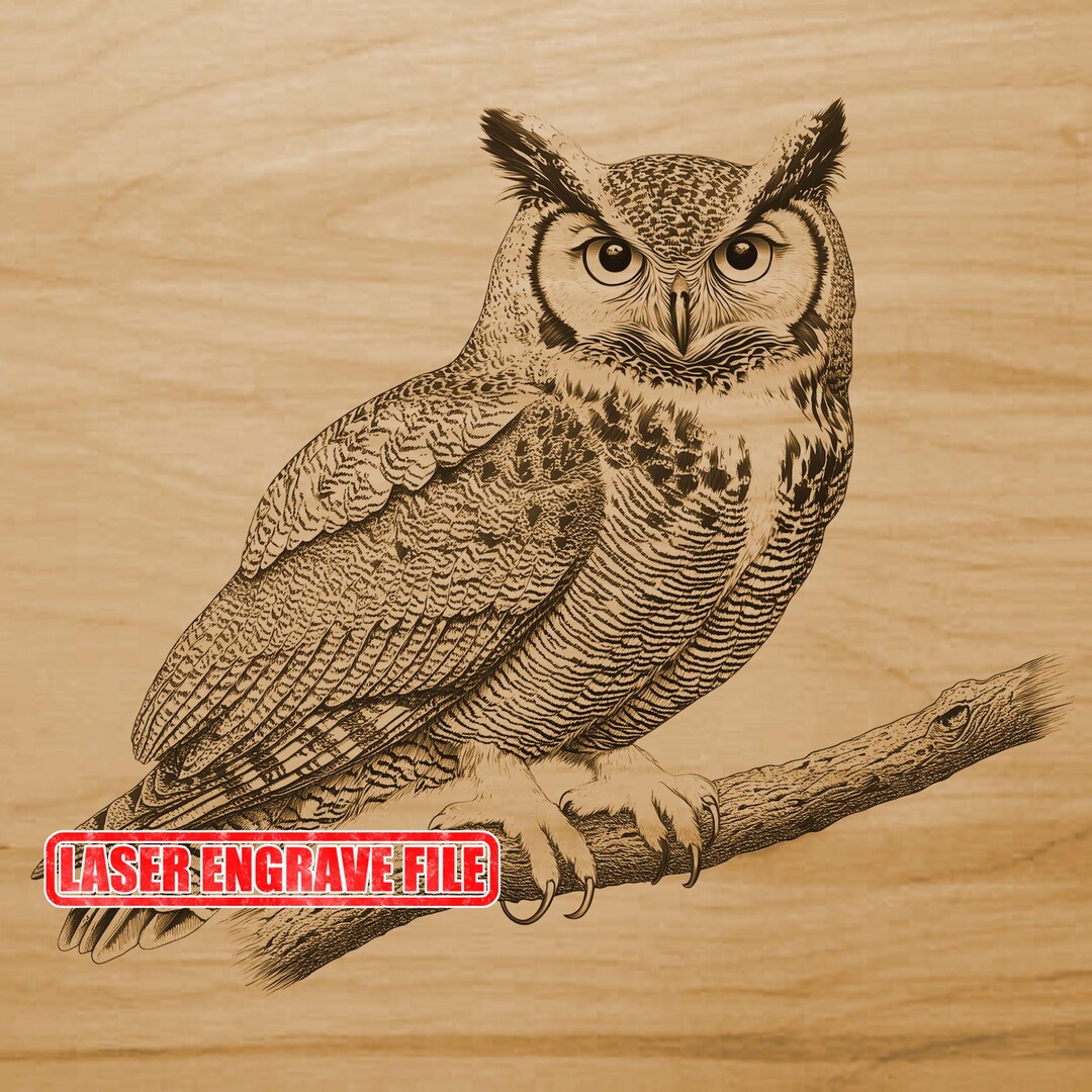 Owl Laser Engrave SVG File PNG File Laser File | Laserdatei | Laser ...