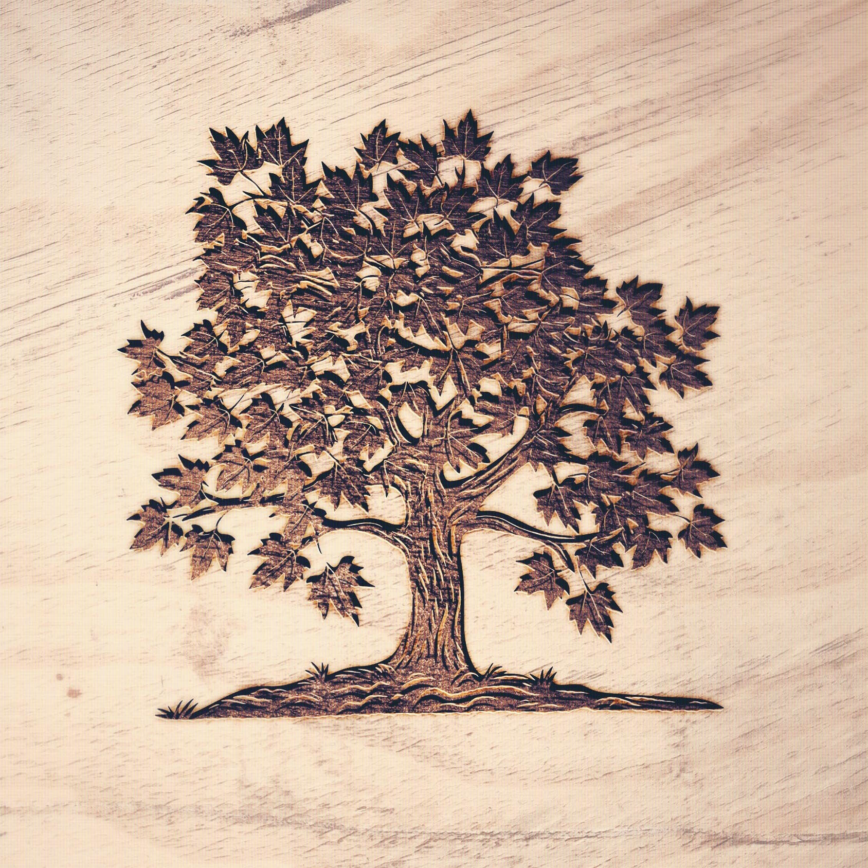 Big Leaf Maple Tree PNG Bundle | SVG | DXF | Laser Burn | Wood Engrave ...