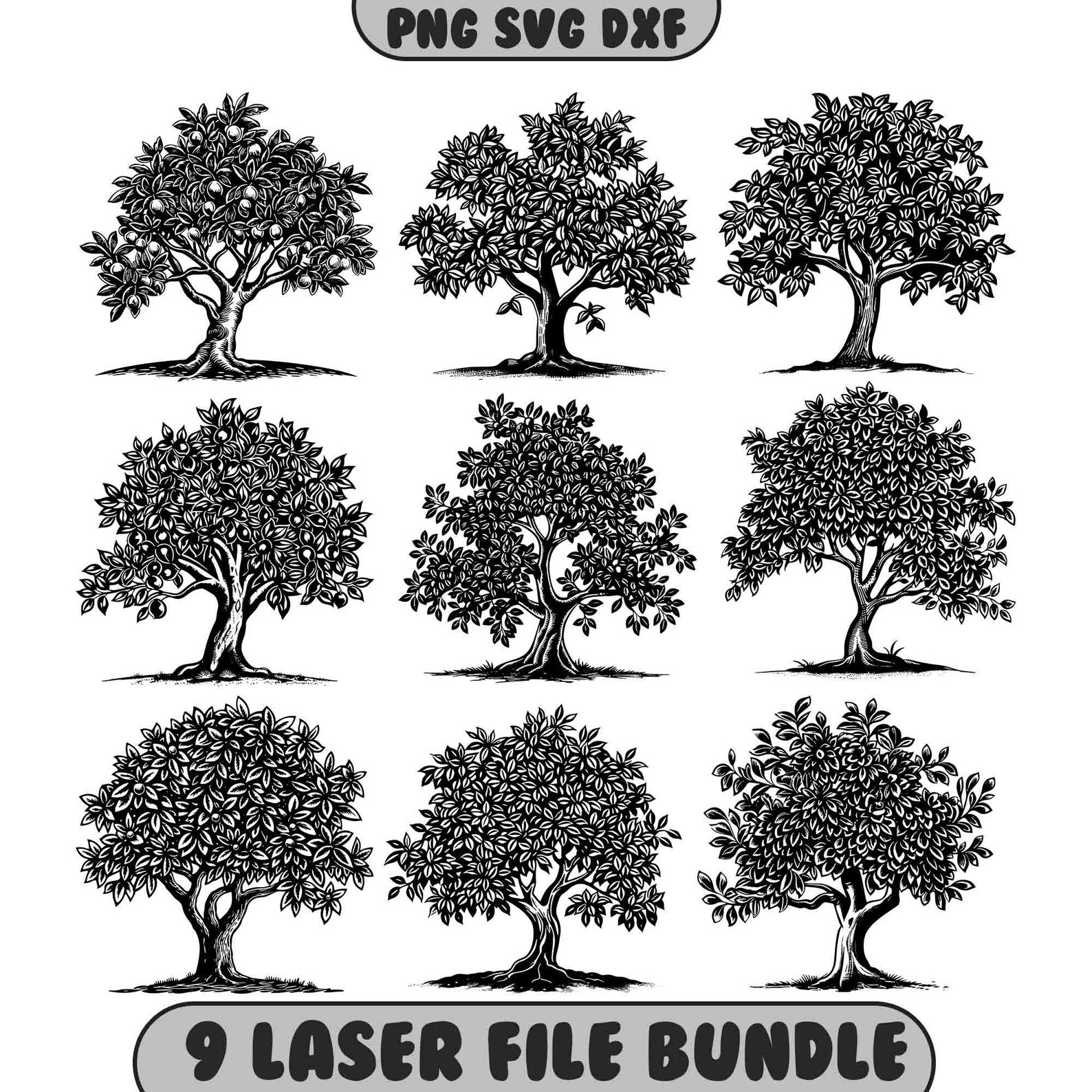 Black Walnut Tree PNG Bundle | SVG | DXF | Laser Burn | Wood Engrave ...