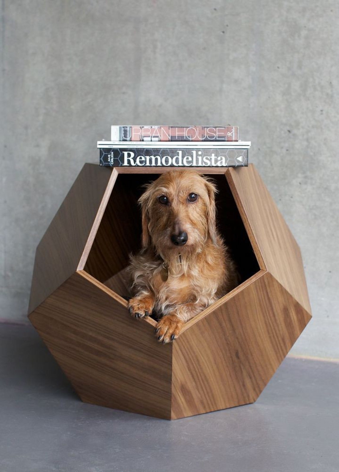 Personalized Wooden Dog and Cat House Indoor Pet House Dog Kennel Cat ...
