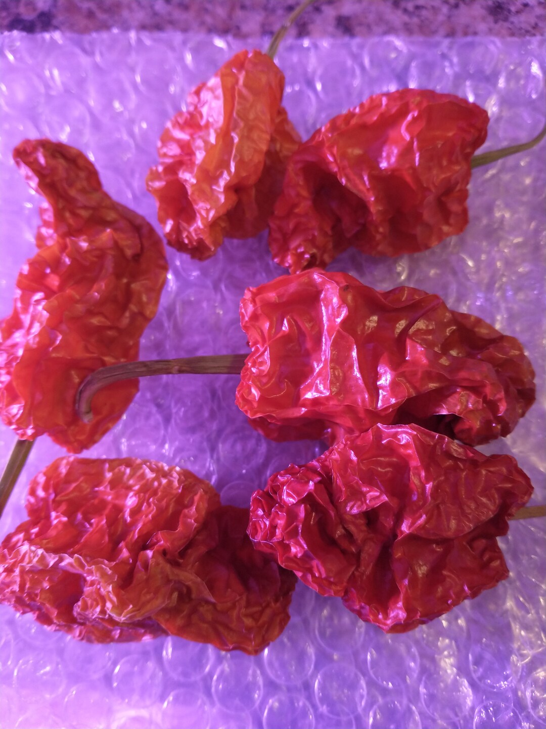 Dragons Toe Pepper 20 Seeds - Etsy